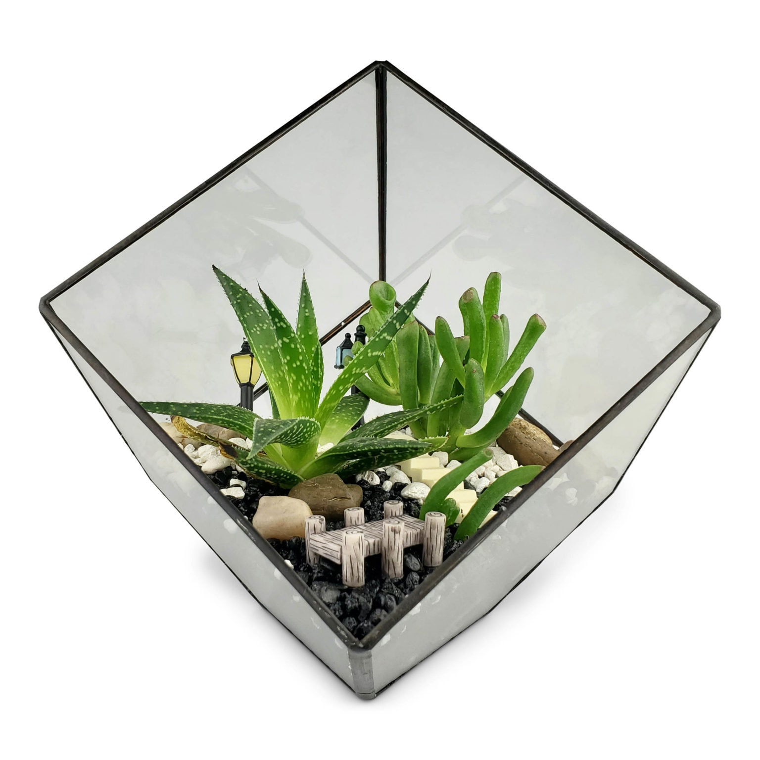 Glass Terrariums Square Style 2 Sizes Geometric | Etsy