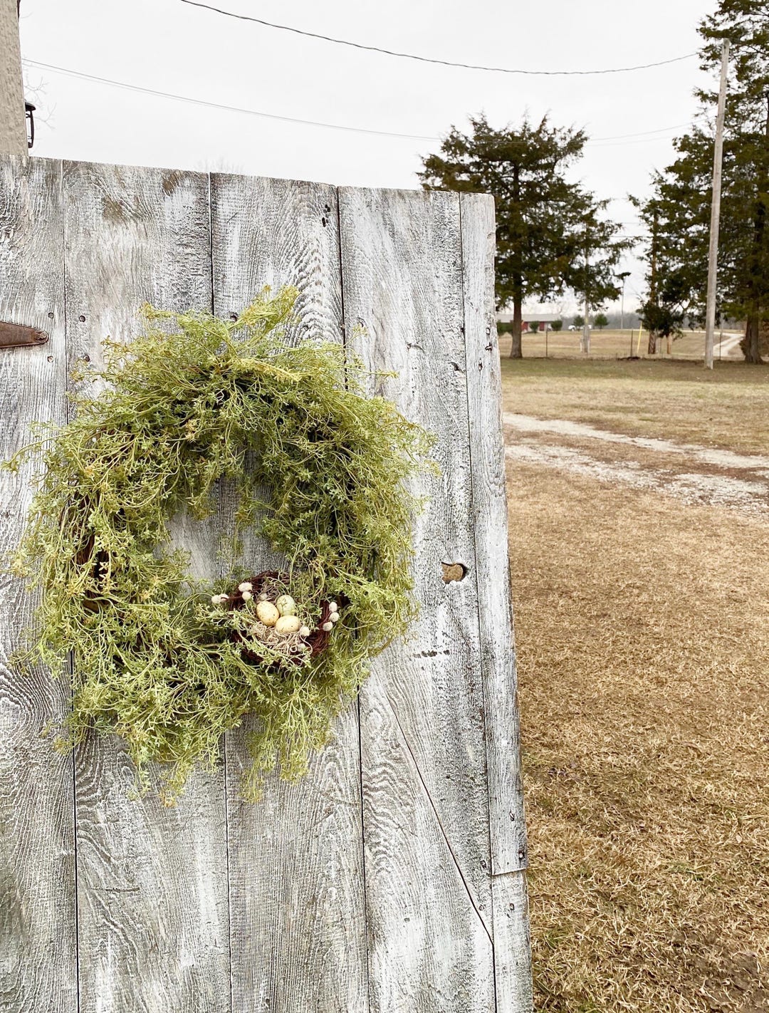 Spring Wreath, Nest Wreath, Natural Spring Decor, Neutral Front Door ...