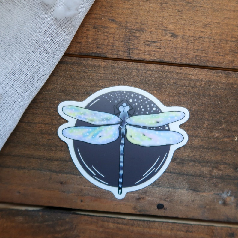 Dragonfly Vinyl Sticker Perfect for Any Garden, Outdoor or Insect Lover ...