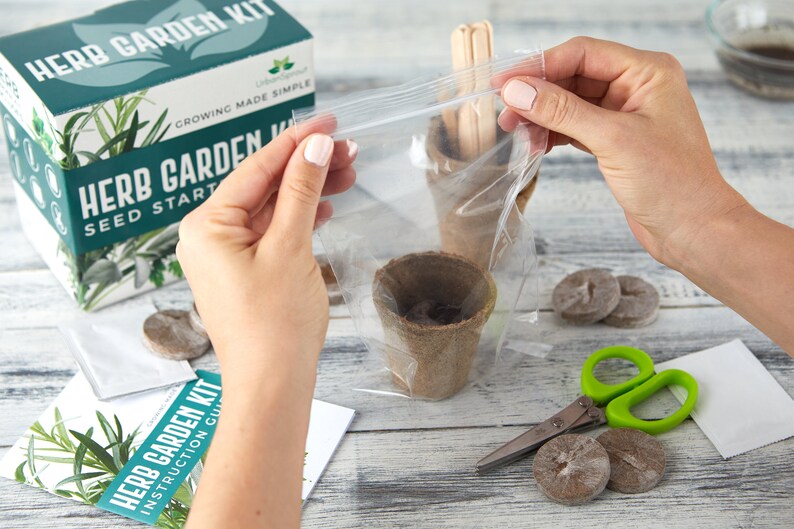 Herb Garden Kit Grow Your Own Kitchen Herbs Indoors | Etsy