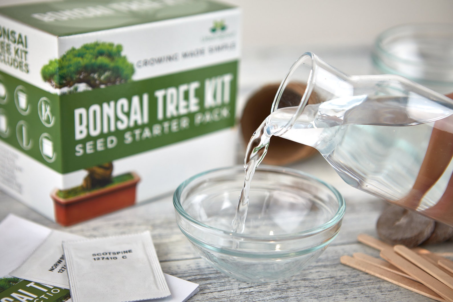 Bonsai Tree Starter Kit grow Your Own Bonsai Trees From Seeds - Etsy