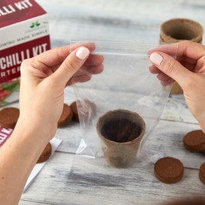 Chilli Seeds Kit, Grow Your Own Chilli Peppers Indoors, Sustainable Eco ...