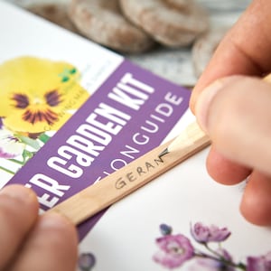 Flower Garden Kit - Grow Your Own Cottage Garden or Hanging Baskets ...