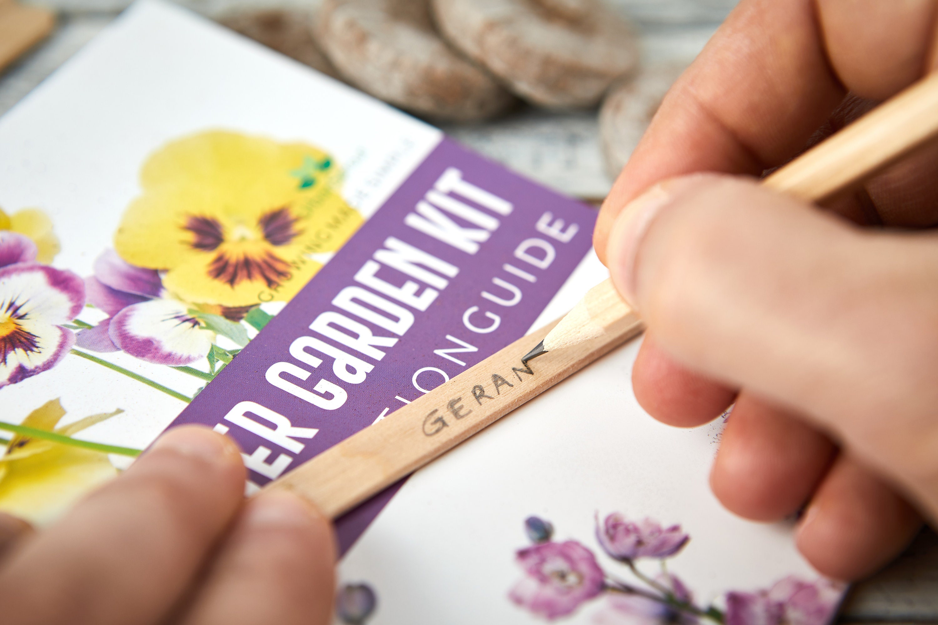 Flower Garden Kit - Grow Your Own Cottage Garden or Hanging Baskets ...