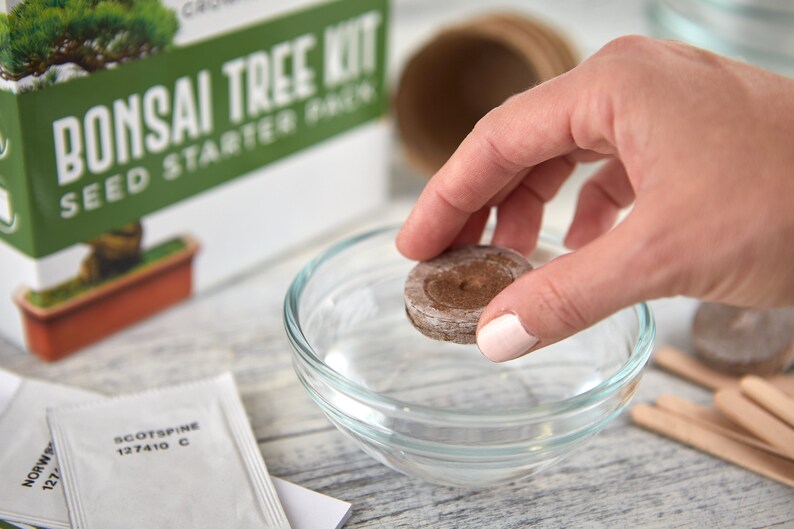 Bonsai Tree Starter Kit -grow Your Own Bonsai Trees From Seeds ...
