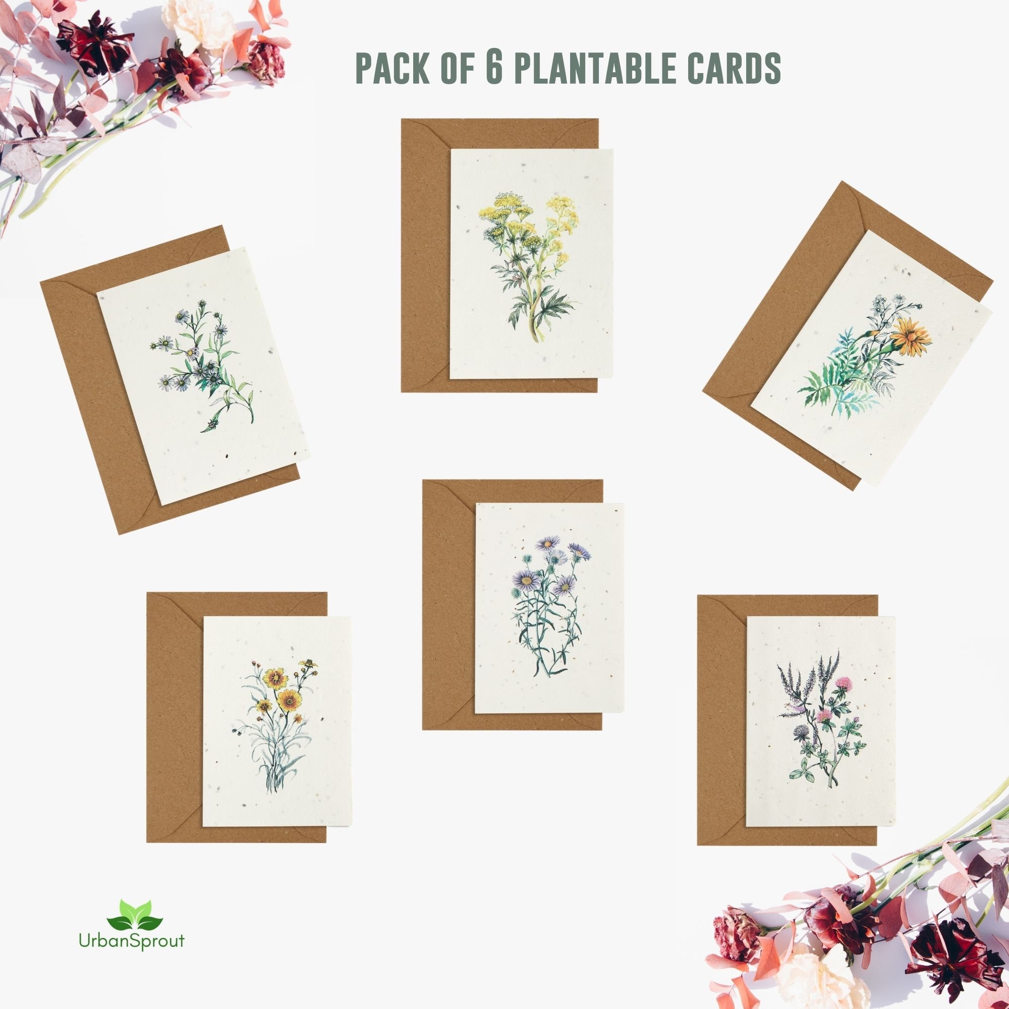 Plantable Seed Cards Wildflower Illustrated Greetings Card - Etsy