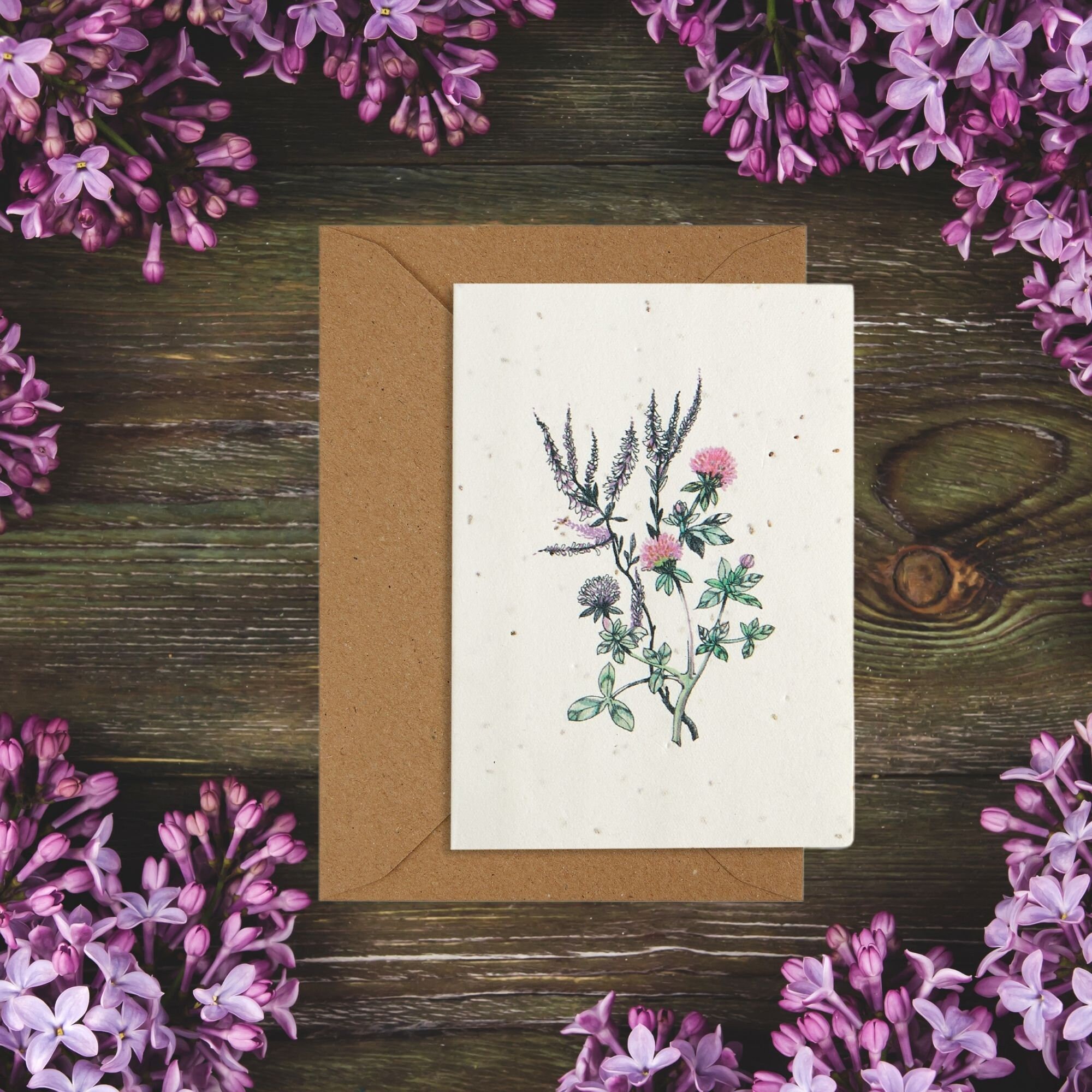 Plantable Seed Cards Wildflower Illustrated Greetings Card - Etsy