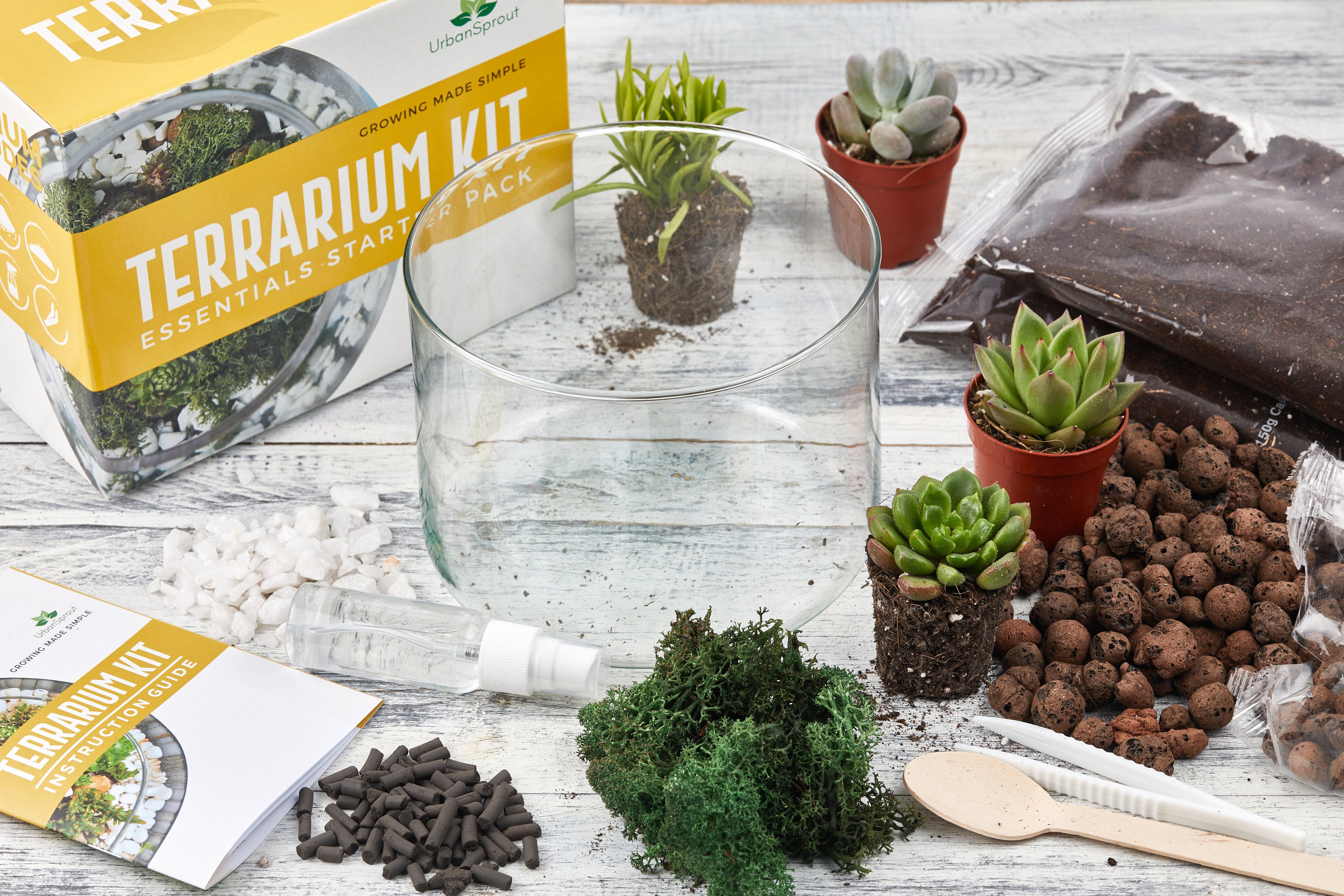 Plant Terrarium Kit for Succulent Plants and Cacti. Includes Cactus ...