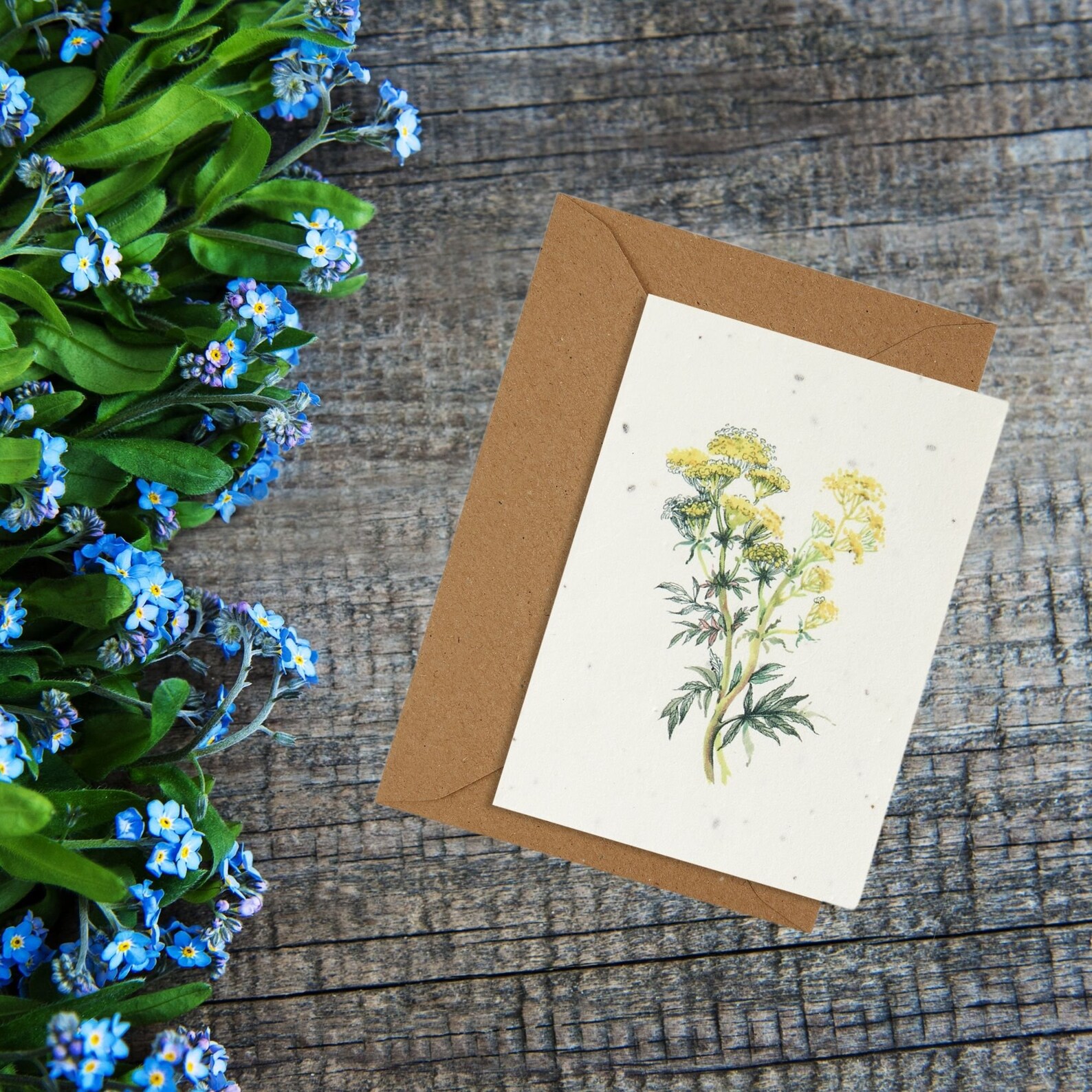 Plantable Seed Cards Wildflower Illustrated Greetings Card | Etsy