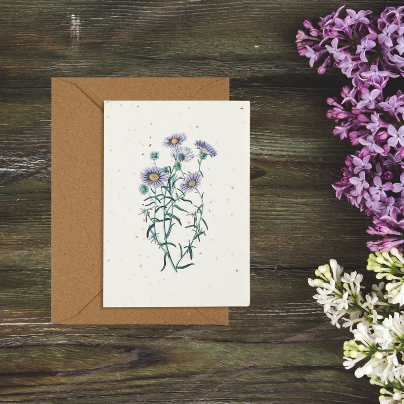 Plantable Seed Cards Wildflower Illustrated Greetings Card | Etsy