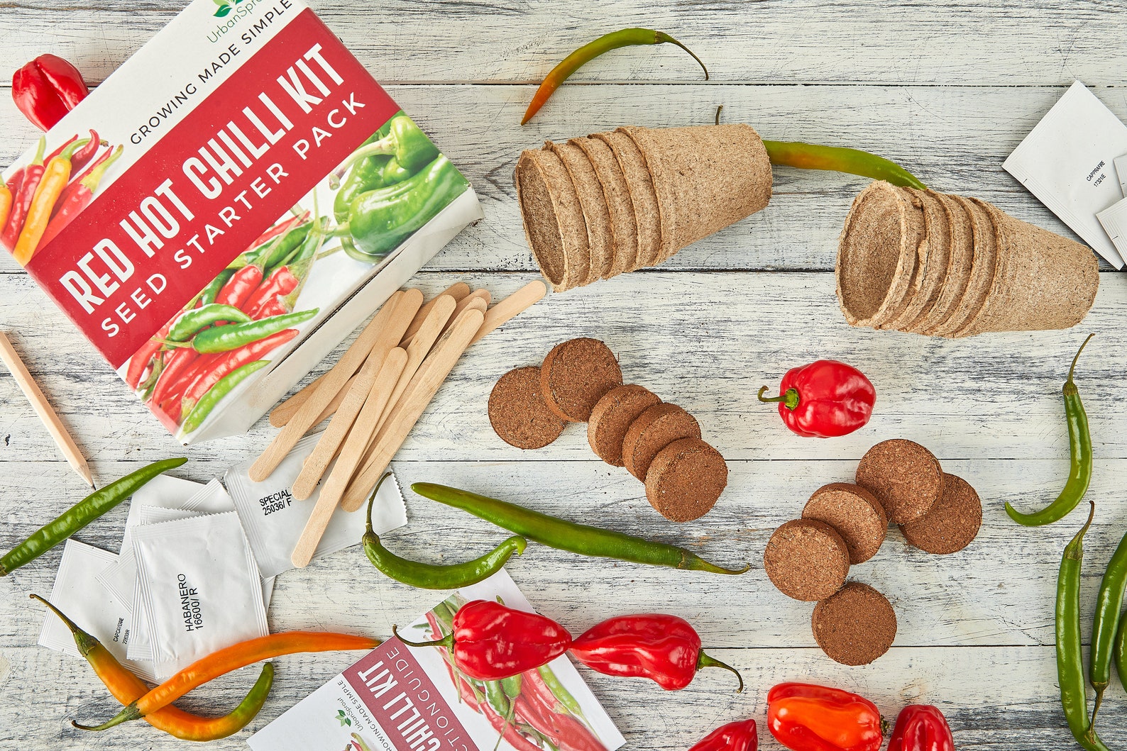 Chilli Seeds Kit Grow Your Own Chilli Peppers Indoors - Etsy UK