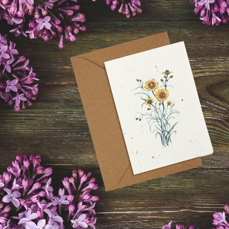 Plantable Seed Cards Wildflower Illustrated Greetings Card | Etsy