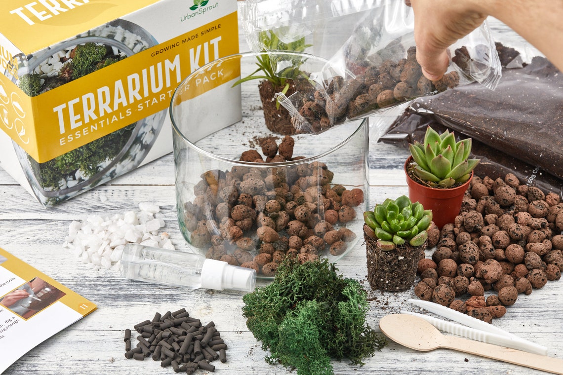 Plant Terrarium Kit for Succulent Plants and Cacti. Includes - Etsy