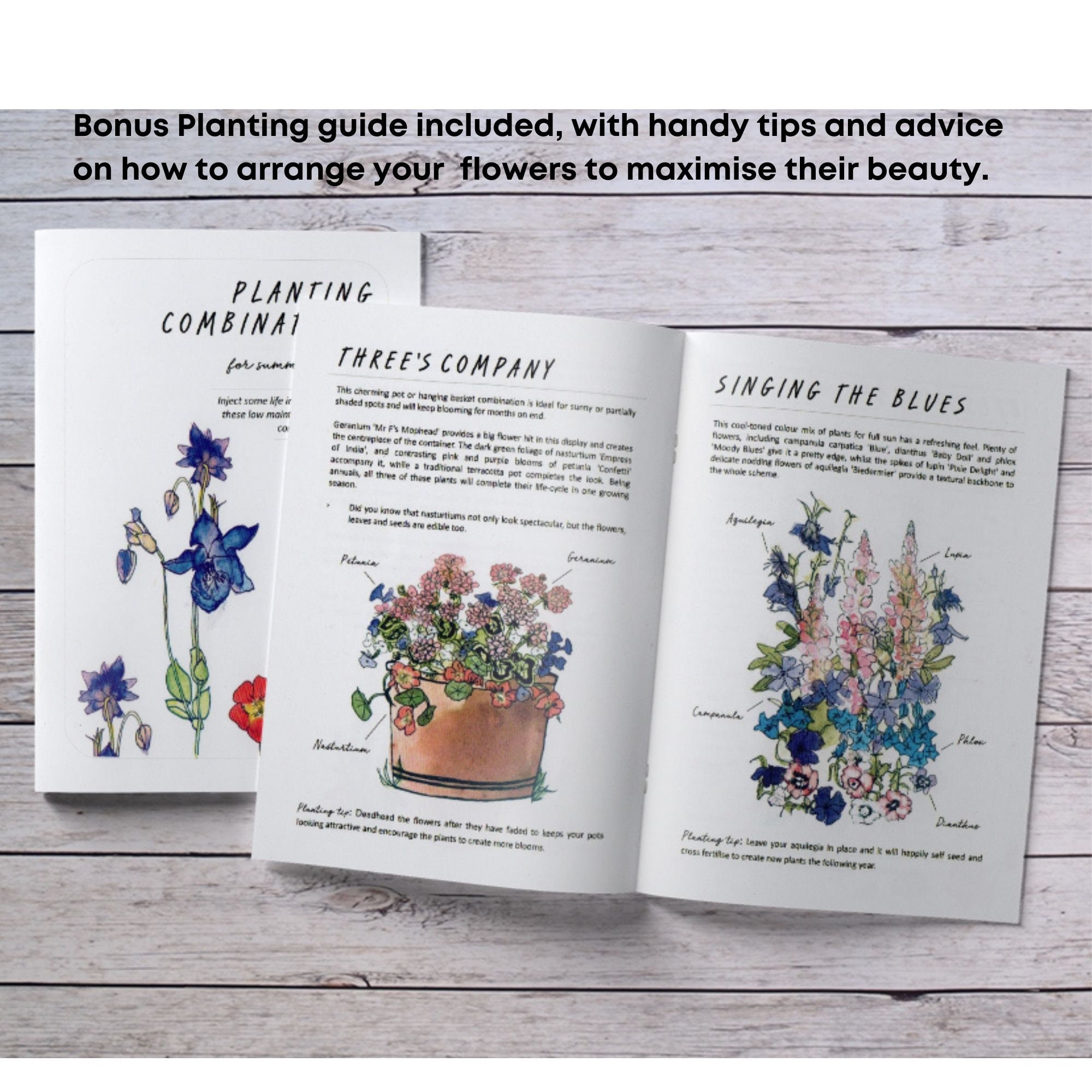 Flower Garden Kit - Grow Your Own Cottage Garden or Hanging Baskets ...