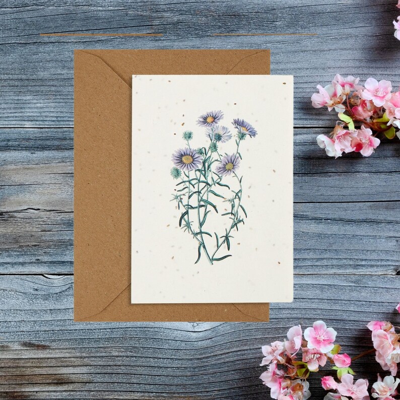 Plantable Seed Cards Wildflower Illustrated Greetings Card | Etsy