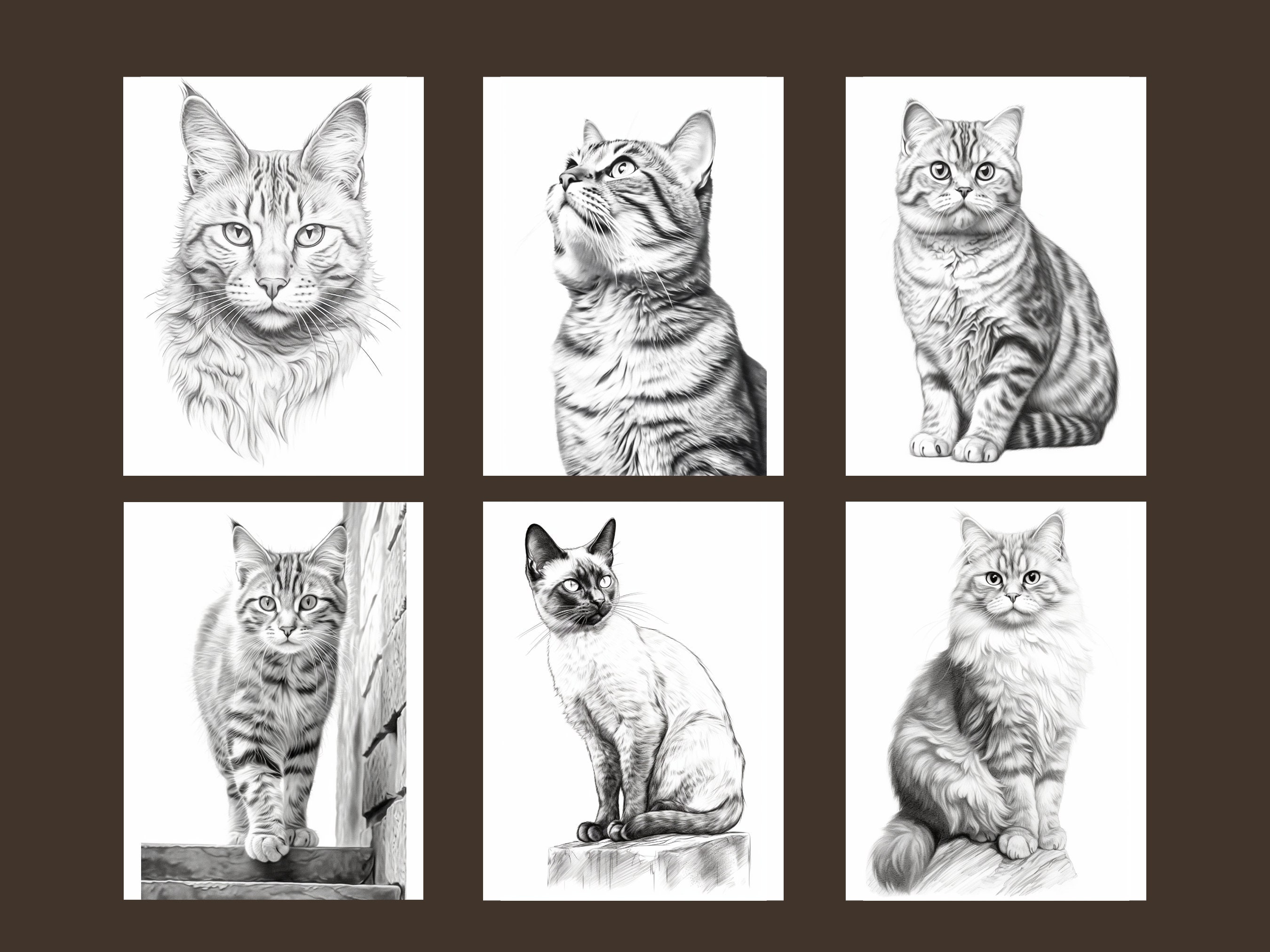 47 Realistic Cats Grayscale Coloring Book - Adults Kids Coloring Pages ...