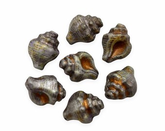 8pc Blue whelk conch seashell shell beads charms 8pc brown | Etsy