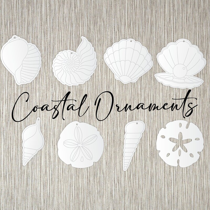 Sea Shells - Etsy