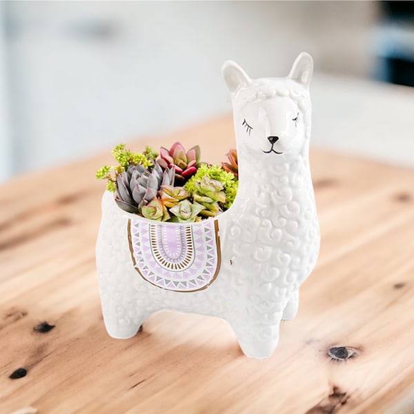 Ceramic Llama - Etsy