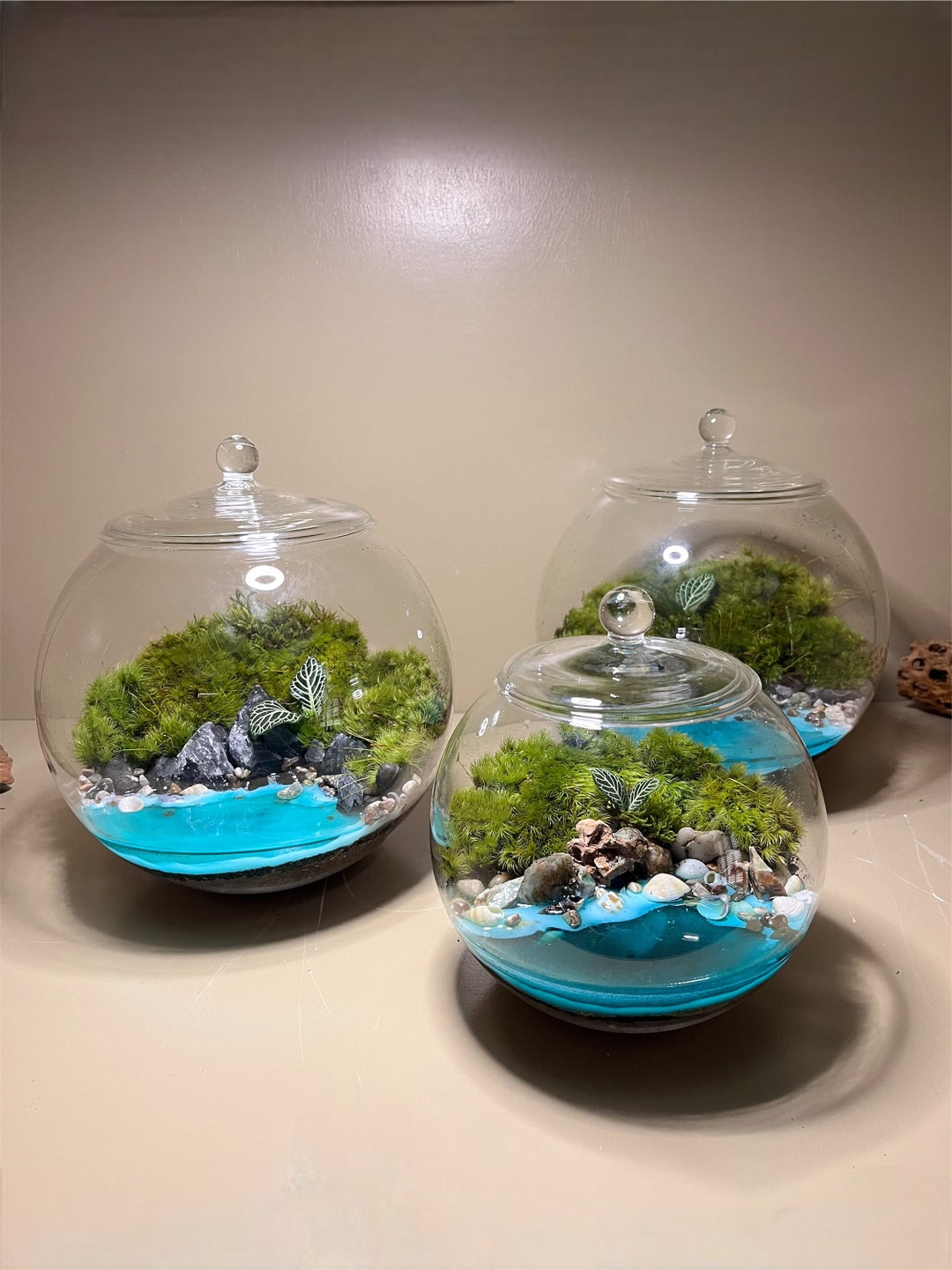 Ocean Terrarium With Fresh Live Moss | Moss Terrarium | Coastal Living ...
