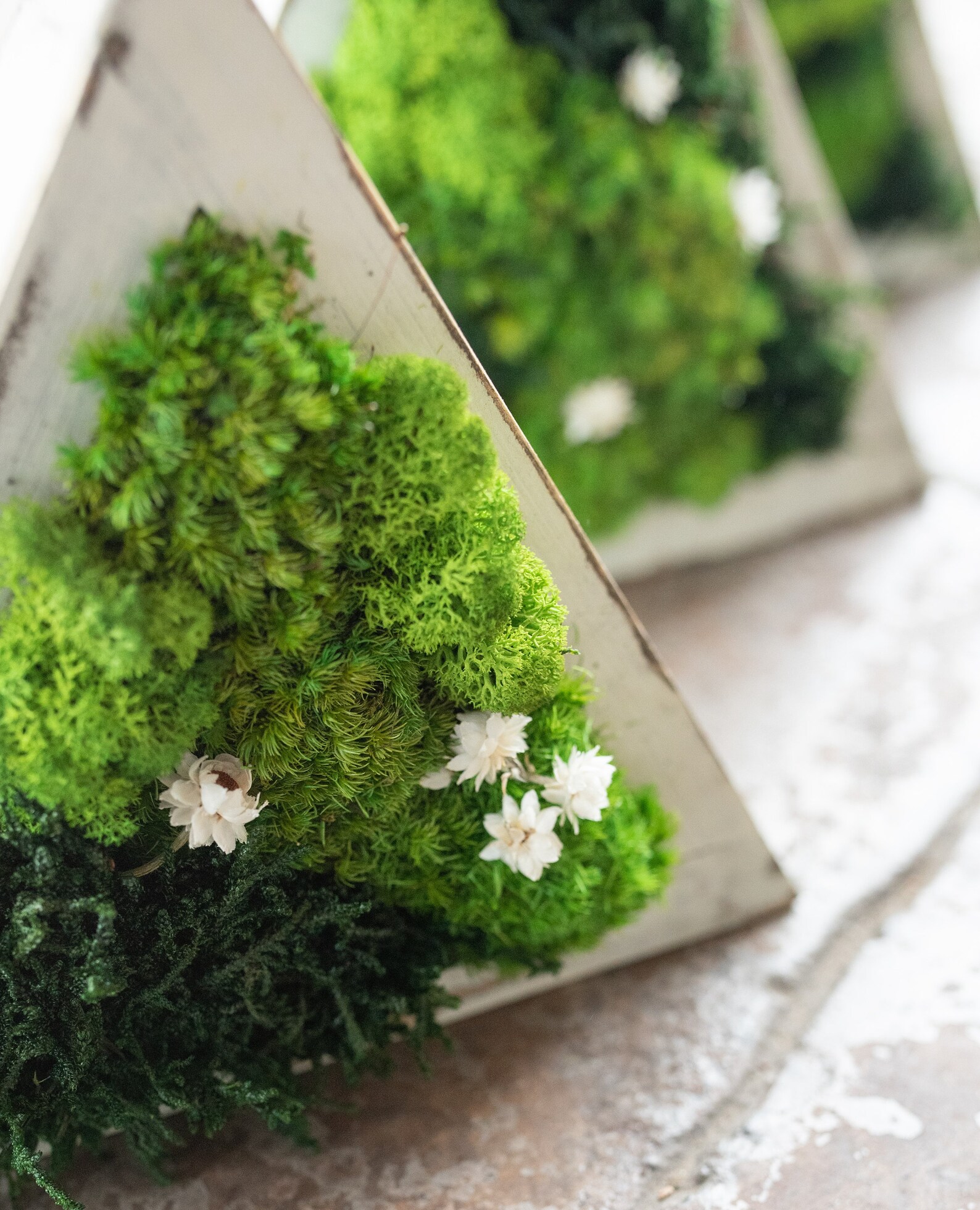 Moss Wall Art Triangle Moss Wall Frame Preserved Moss Art - Etsy