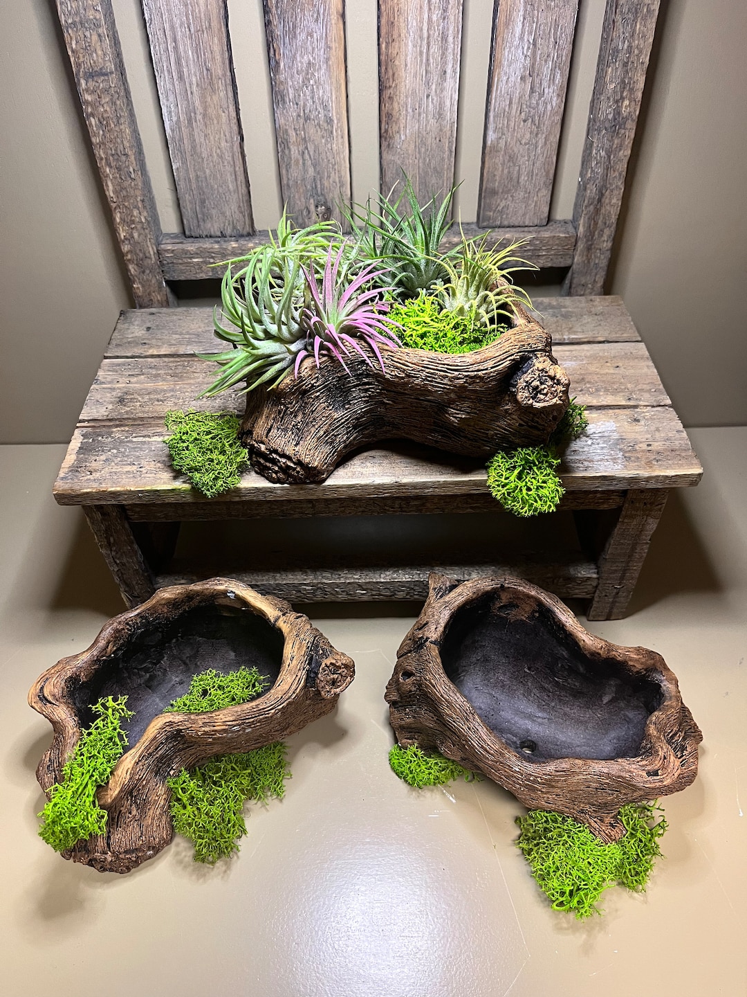 Wooden Tree Trunk Pot | Rustic Plant Holder | Natural Wood Planter ...