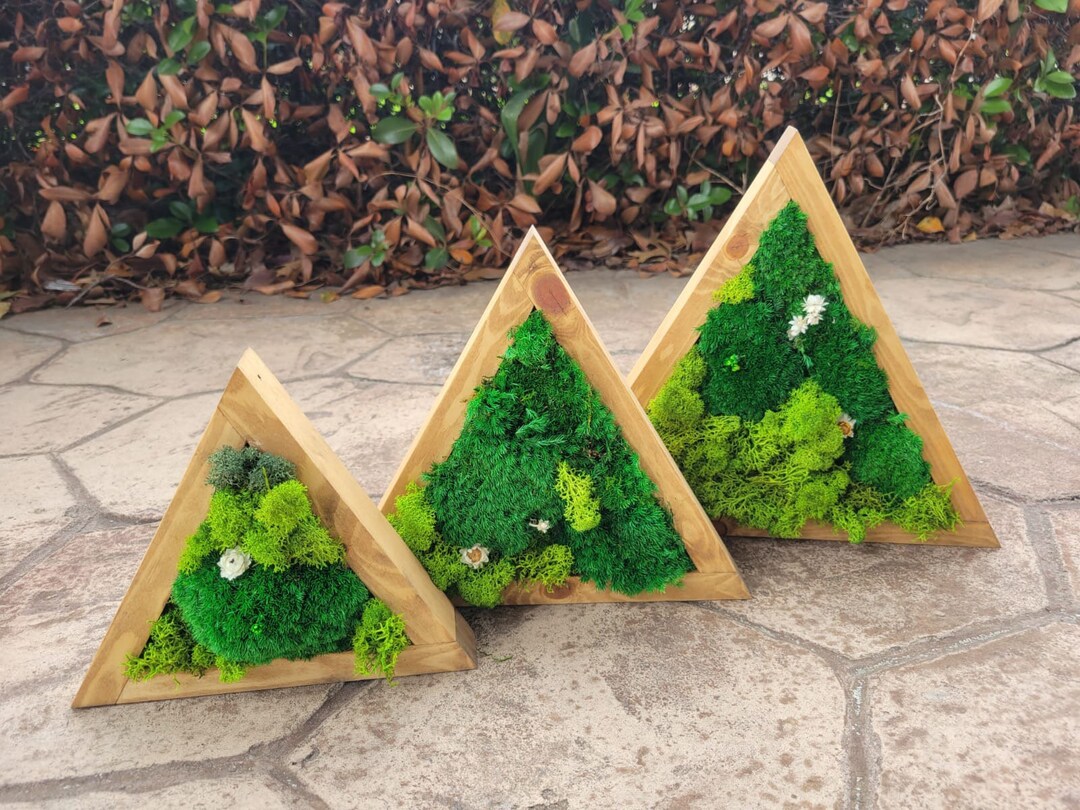 Moss Wall Art Triangle Moss Wall Frame Preserved Moss Art Wall Decor ...