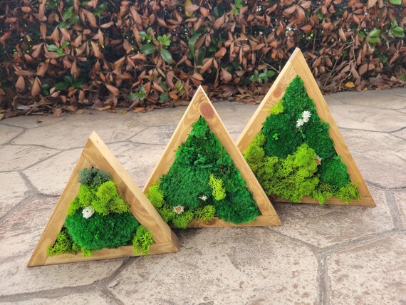 Moss Wall Art Triangle Moss Wall Frame Preserved Moss Art - Etsy