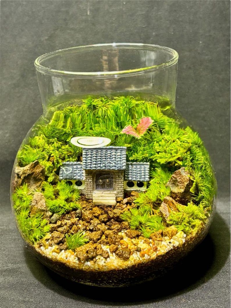 LED Moss Terrarium Decor | Mini Desk Ecosystem Gift | Handmade Indoor ...