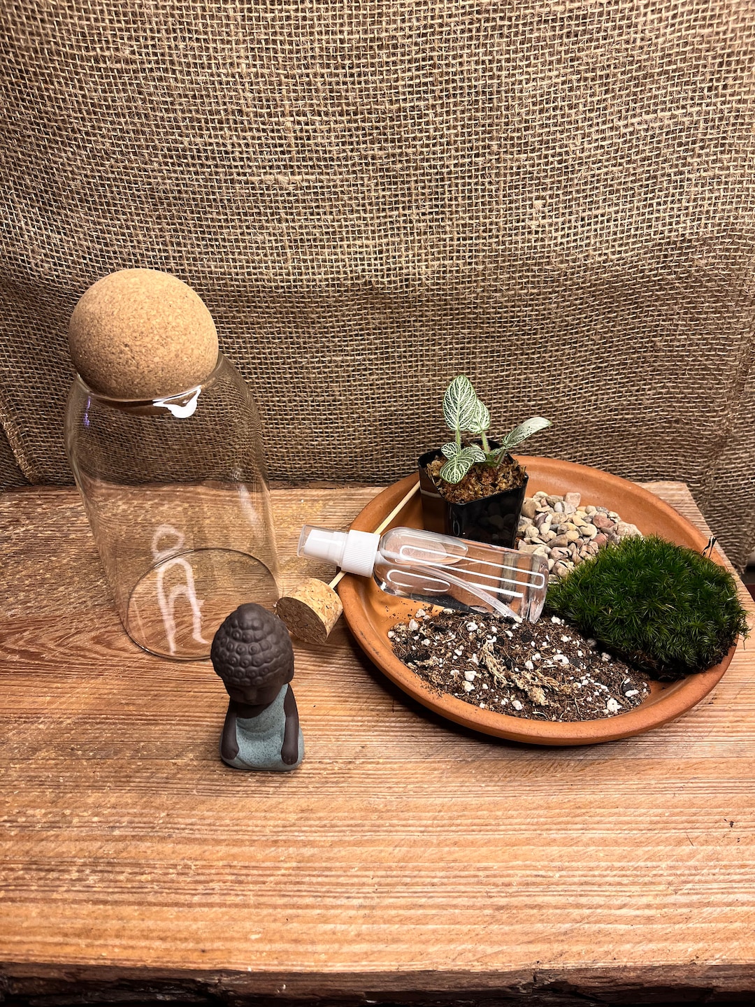 DIY Terrarium Kit | Mini Garden Kit | Succulent Terrarium | Plant Lover ...