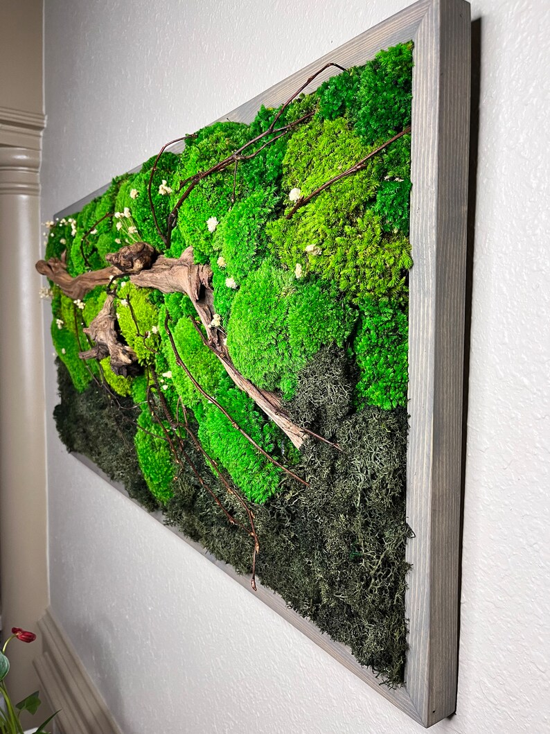 16x32 Preserved Moss Wall Art-moss Wall Art Framed-preserved Moss Decor ...