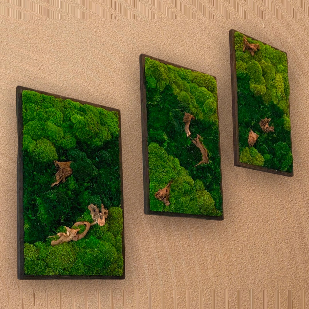 Moss Wall Frames Living Wall Decor Plant Art Frame Plant Lover Gift ...
