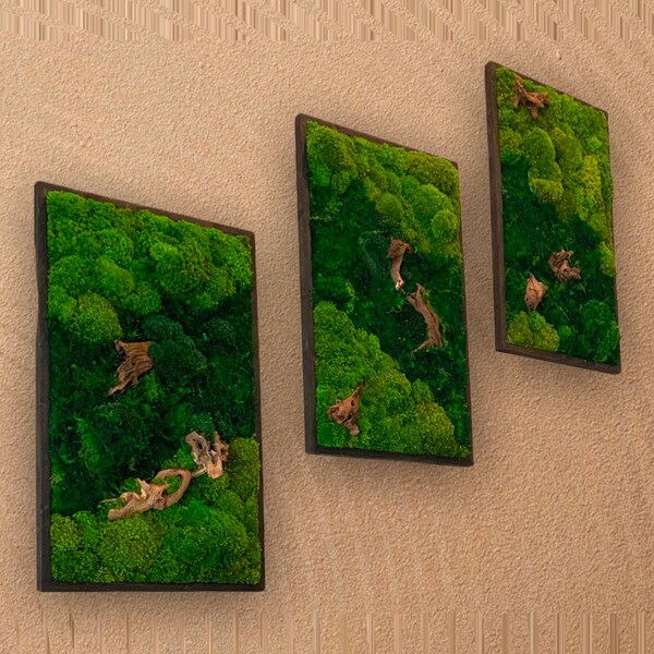 Moss Frames - Etsy