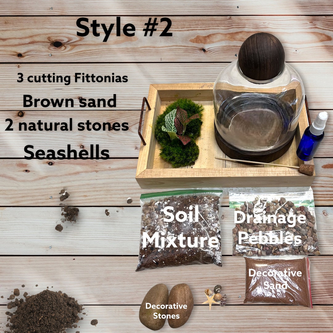 Live Moss Terrarium Kit DIY Terrarium Moss Garden Nature Lover Gift ...