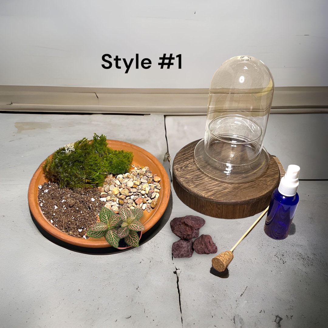 7" Glass Cloche Diy Terrarium Kit | Glass Cloche Garden | Mini Garden ...