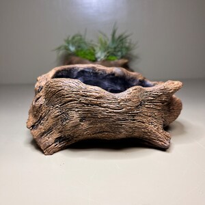 Wooden Tree Trunk Pot | Rustic Plant Holder | Natural Wood Planter ...