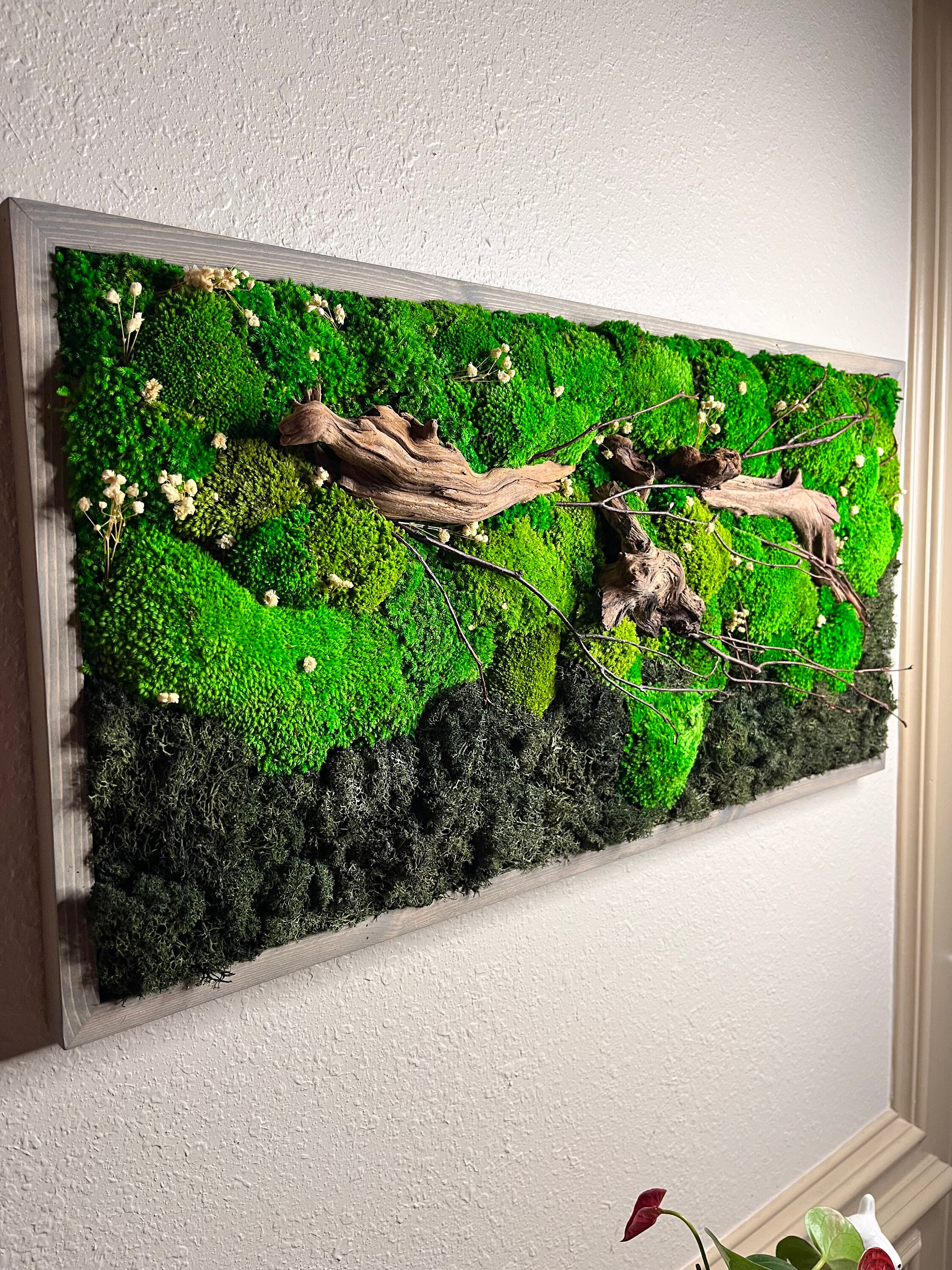 16x32 Preserved Moss Wall Art-moss Wall Art Framed-preserved - Etsy