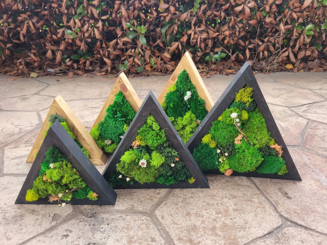 Moss Wall Art Triangle Moss Wall Frame Preserved Moss Art - Etsy
