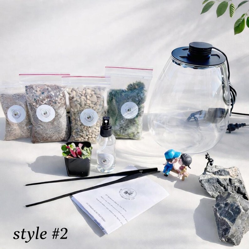 Biolark LED Terrarium Kit – Premium Live Moss Ecosystem | Self ...