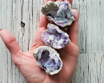 Spirit Flower Geode - Etsy