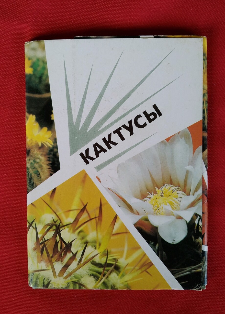 Soviet Postcards Set of 18 Cacti Cactus Pictures Vintage - Etsy UK