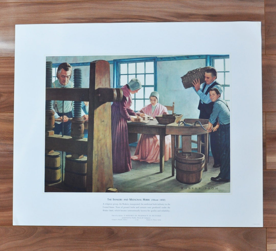 The Shakers and Medicinal Herbs - Original Medical Print / Poster 1950s ...
