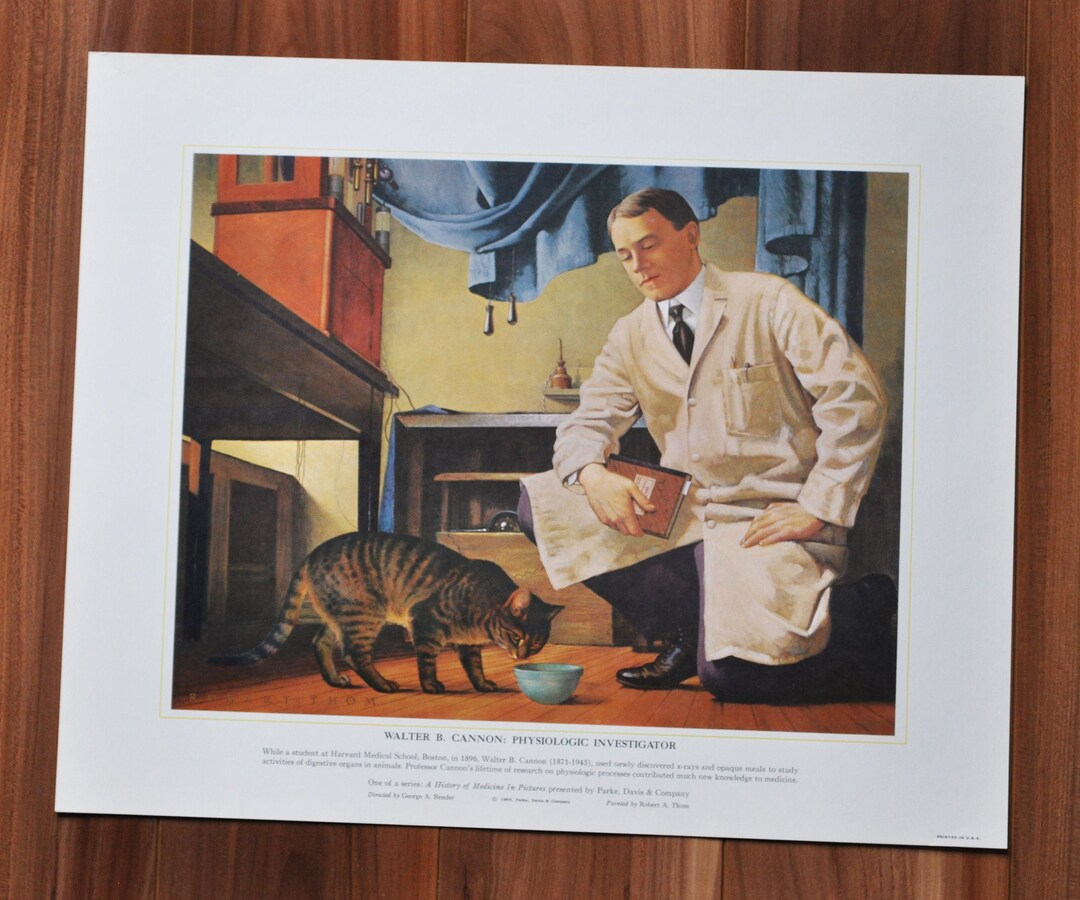 Walter Bradford Cannon : Physiologic Investigator, Original Medical ...