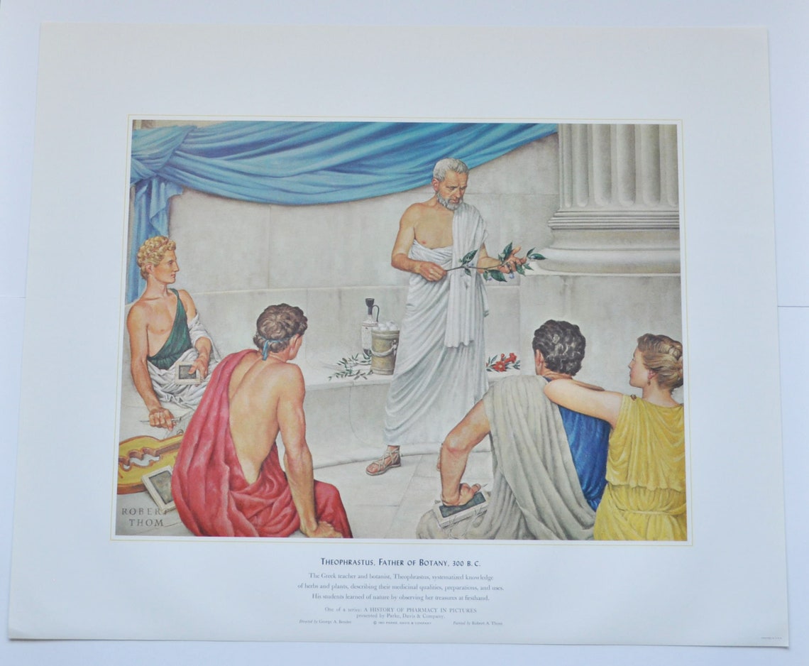 Theophrastus Father of Botany, Original Medical Print / Poster 1950s ...