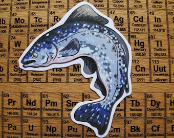 Salmon Sticker - Etsy