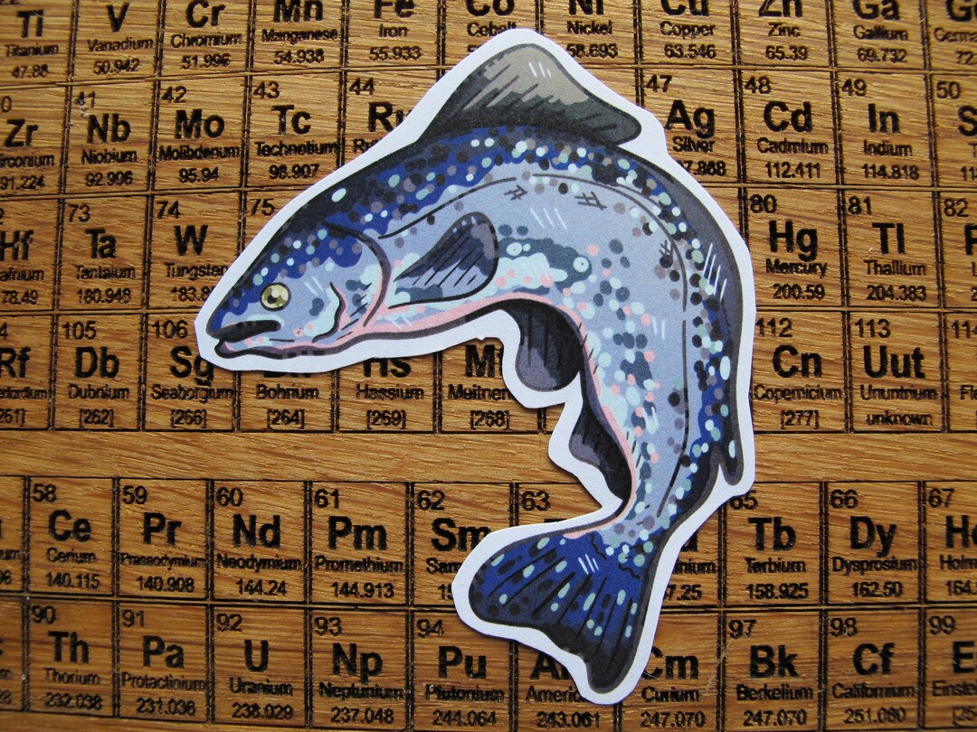 Cute Salmon Sticker - Etsy