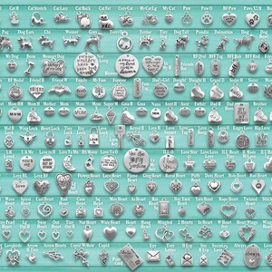 CHARMS to Use on Your Own Jewelry or for Crafting bracelet - Etsy