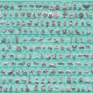 CHARMS, to Use on Your Own Jewelry or for Crafting bracelet, Necklace ...