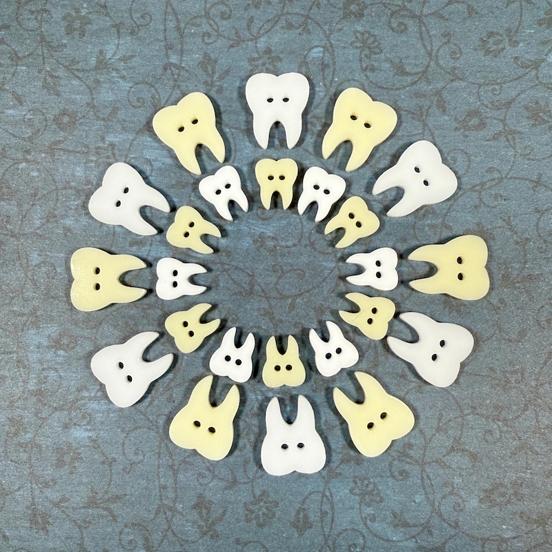 Tooth Button - Etsy
