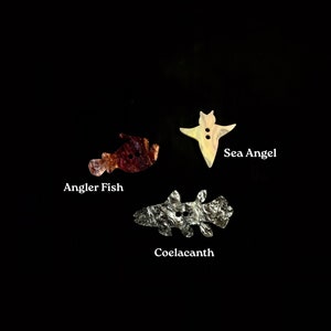 Special Deep Sea Life Button Set - Etsy